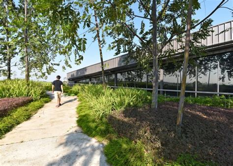 Green Canopy By Garis Architects Spans A Community Centre