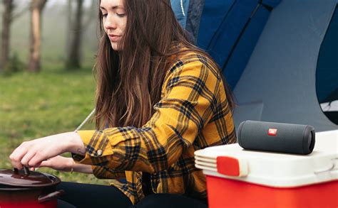 Jbl Flip Essential With Year Warranty Incredideals Egypt