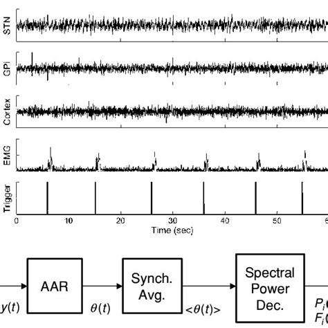 Adaptive Autoregressive Identification With Spectral Power Download Scientific Diagram
