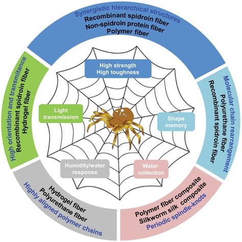 A Schematic Microfluidic Spinning Of The Recombinant Spider Silk