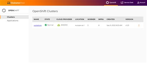 Access Your Cluster Stakater App Agility Platform Saap