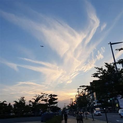 잠언25장을 묵상하면서 잠258 9 8 너는 서둘러 나가서 다투지 말라 마침내 네가 이웃에게서 욕을 보게 될 때에 네가 어찌할 줄을 알지 못할까 두려우니라