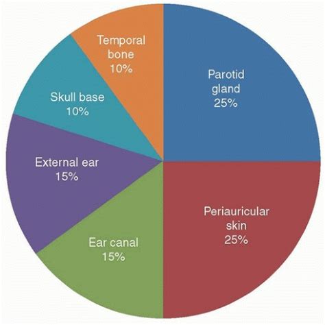 Ear And Temporal Bone Cancer Oncohema Key