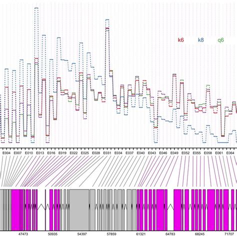 A Heatmap Showing The Correlations Of The Expression Patterns Of The