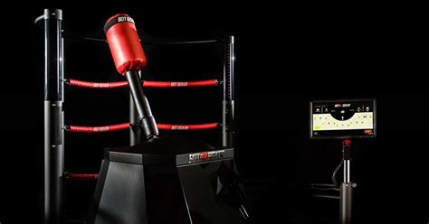 Botboxer The Robot That Helps You Train Martial Arts
