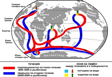 Защо дълбочинните океански течения са планетарен климатичен регулатор Климатека Науката за