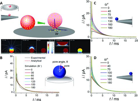 Finite Element Simulations Of Current Dependency On Pore Position In Download Scientific