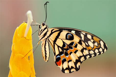 Reclaiming Your Sexual Confidence Eros Coaching