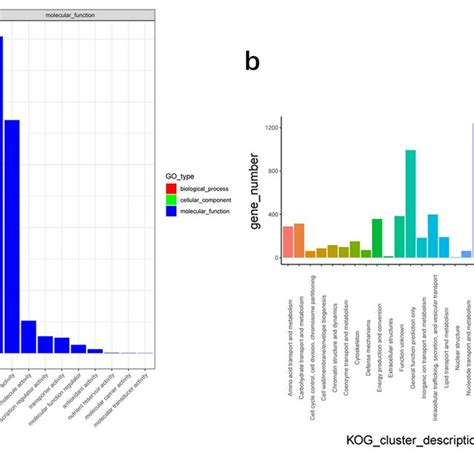 A Go Annotation And B Kog Annotation Of Halophila Beccarii Download Scientific Diagram