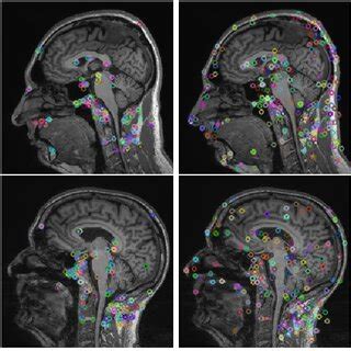 Data Preprocessing From Left To Right The Original Data The Result Download Scientific
