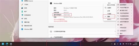 Issue The App TranslucentTB Does Not Work When I First Got The App It Worked Fine But