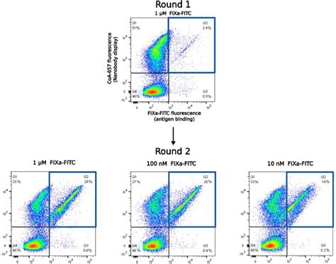 Consecutive Rounds Of Selection Of Nanobodies That Bind Fixa By Yeast Download Scientific