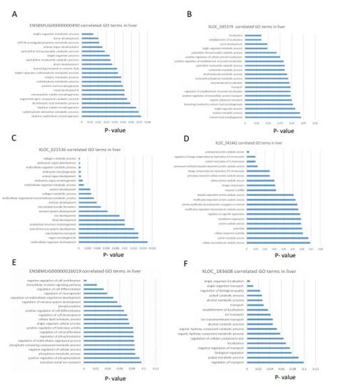 Functional Prediction Of Metabolically Related Differentially Expressed Download Scientific