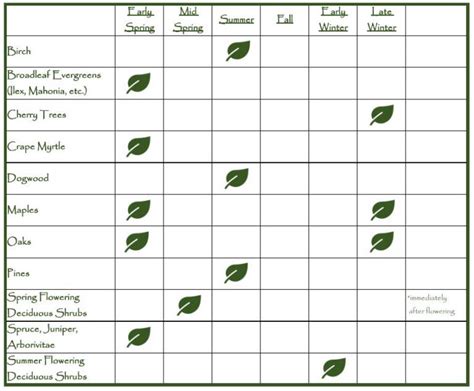 A Guide For When To Prune Plants Complete Landscaping