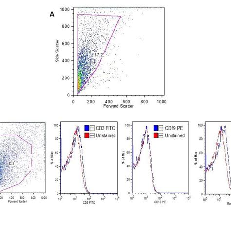 Forwardside Scatter Of Splenocytes And Parasite Isolated Cells A