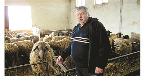 Застудяването напомня че зимата е близо и за животните Български Фермер