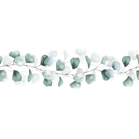 Premium Vector Eucalyptus Green Leaf Seamless Border Watercolor