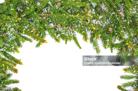콘이있는 눈 덮인 전나무 가지로 만든 크리스마스 프레임 복사 공간 크리스마스에 대한 스톡 사진 및 기타 이미지 크리스마스 소나무 침엽수 0명 Istock