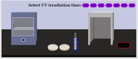 Mutation Biology Simulations