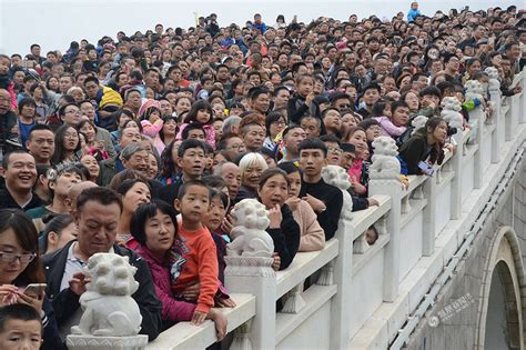 特刊：围观者们手机凤凰网