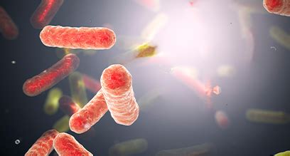 소변건강연구소 이화여자대학교 의료원