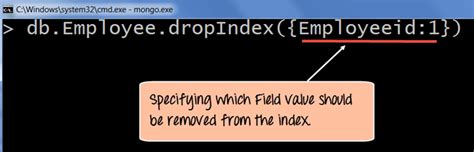 Mongodb Indexing Tutorial Createindex Dropindex Example Li Linguas