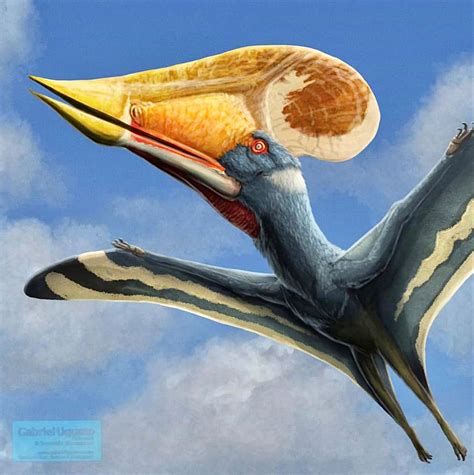 A Squid Fossil Offers A Rare Record Of Pterosaur Feeding Behavior Artofit