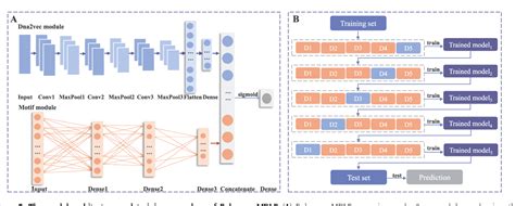 Figure 1 From Enhancer Mdlf A Novel Deep Learning Framework For Identifying Cell Specific