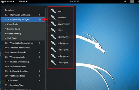 Kali Linux Stressing Tools