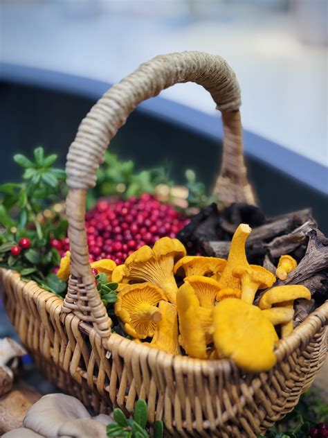 Marry Me Mushrooms Krämig Svampgryta Susannes Skafferi