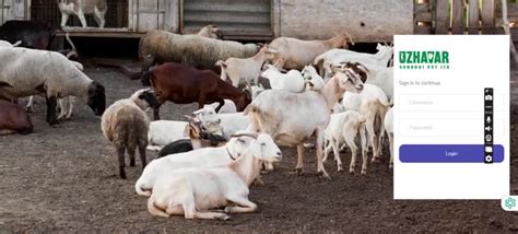 New Project Cattle Management System Sasi Tharan Posted On The Topic Linkedin