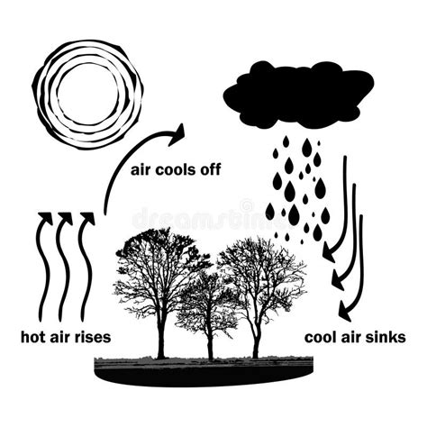 How Thermals Form Weather Diagram Stock Vector Illustration Of Flow Cool 187461469