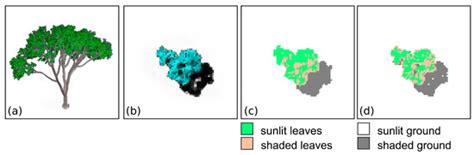 Remote Sensing Special Issue Leaf And Canopy Biochemical And Biophysical Variables Retrieval
