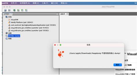 visualvm导入dump提示“不是有效的核心dump” 阿里云开发者社区