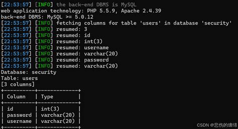 Sql注入之时间盲注 Csdn博客