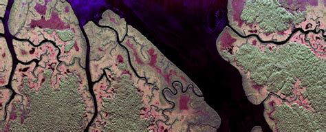 Esa Training On Eo For Forestry Eo Science For Society