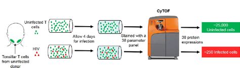 Figure 1 From A Nearest Neighbor Based Nonparametric Test For Viral