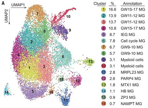 Malte Borggrewe On Linkedin Single Cell Mrna Sequencing Is Everywhere But Whats Important To