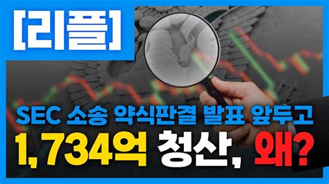 리플 1734억 청산 Sec 소송 약식판결 발표 앞두고 왜 리플코인 리플 리플소송 리플전망 리플대응 리플급등 비트코인 비트코인전망 코인 코인상담