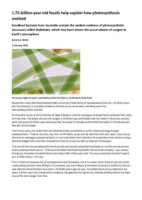 1 75 Billion Year Old Fossils Help Explain How Photosynthesis Evolved 1 Billion Year Old