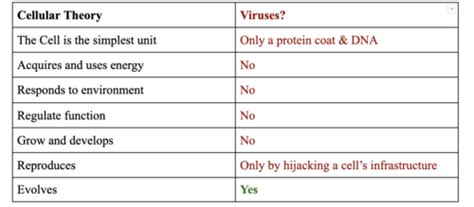 Biology 211 Exam 1 Flashcards Flashcards Quizlet