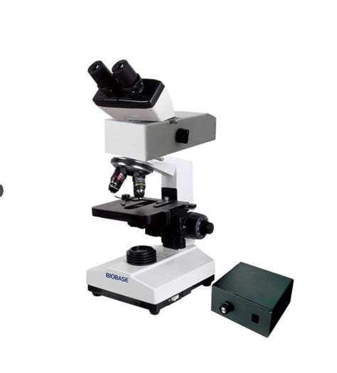 Trinocular Stereo Fluorescence Microscope Regalmed Medical Equipment In Dubai