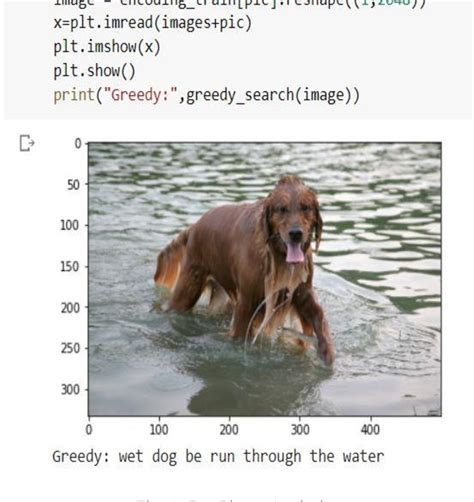 Figure 1 From Image Captioning Using Inception V3 Transfer Learning