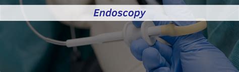 Exeter Gut Clinic Gastroenterology Experts
