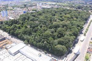 Bosque Rodrigues Alves Tem Entrada Gratuita Neste Fim De Semana G1