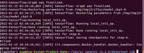Error When Using Tao Tool To Train Detectnetv2 Detection Model Tao