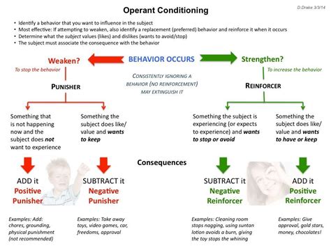 Operant Conditioning Explanatory Diagram For Positive And Negative Reinforcement And Punishment