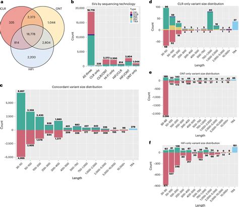 Structural Variant Inference Across Sequencing Technologies In Hg002 We