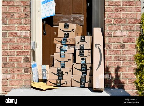 Amazon Box House At Leona Flowers Blog