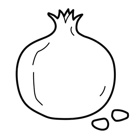 Premium Vector Fruits Pomegranate Outline Illustration On White